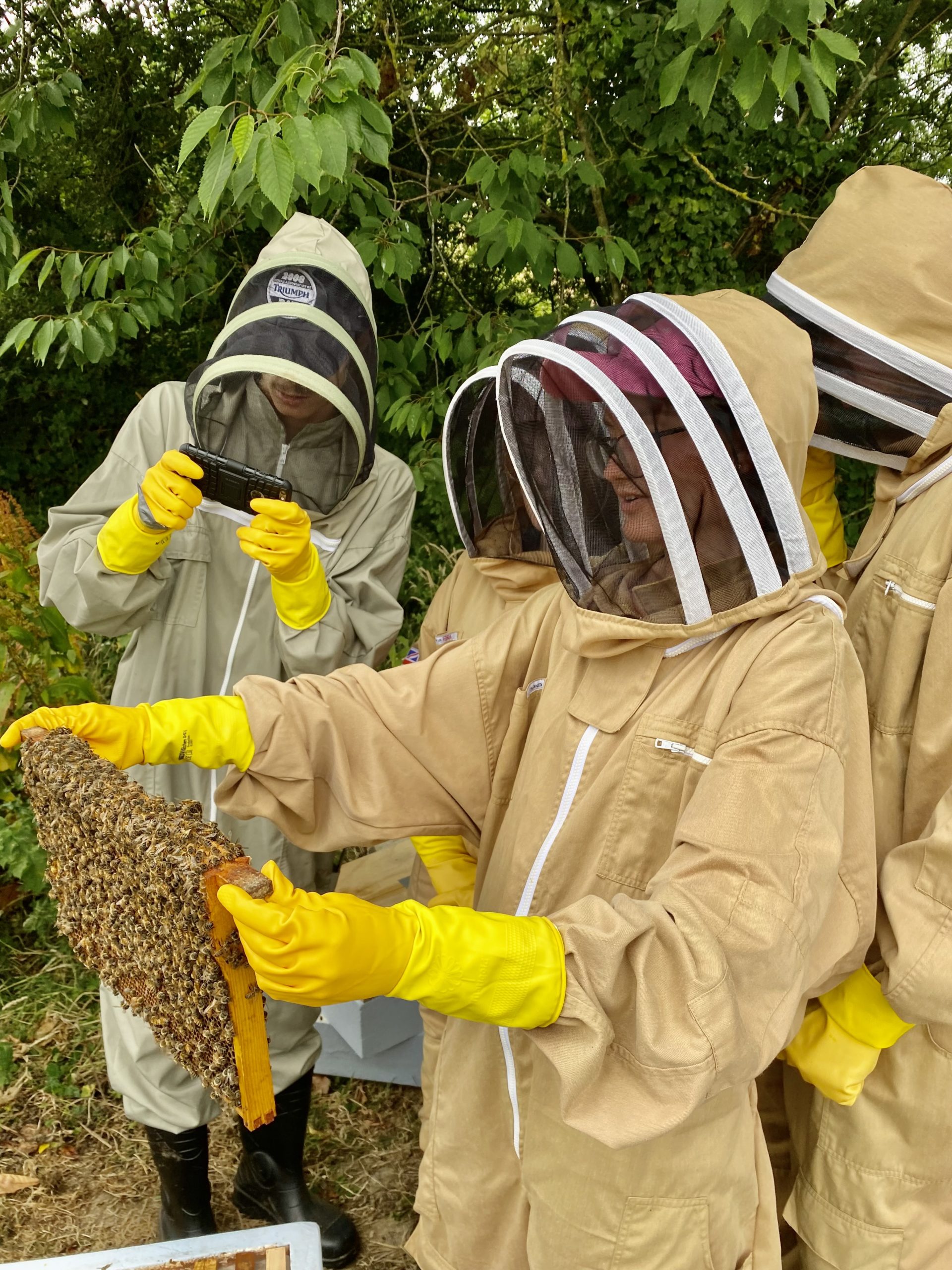 bee keeping course - Bridport & West Bay